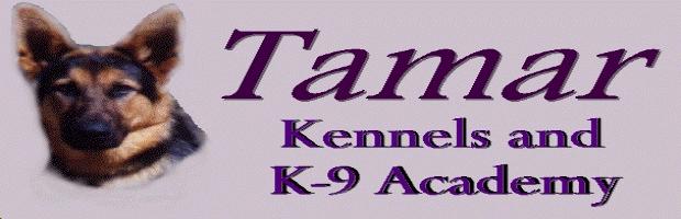 Tamar's K-9 Academy